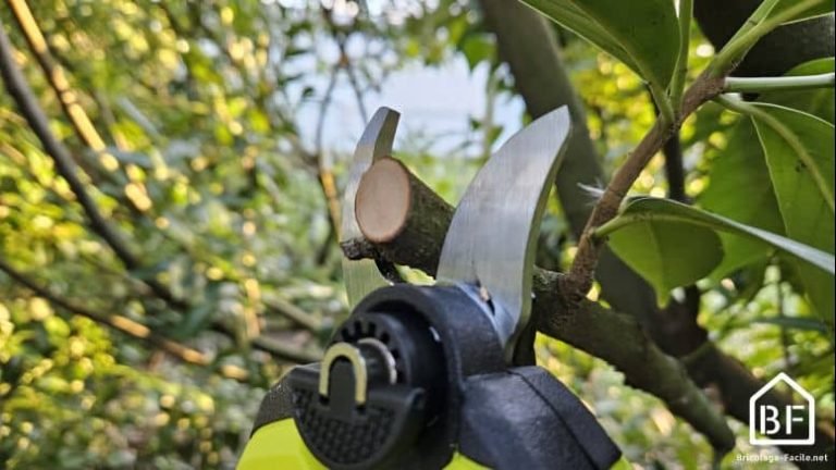 Sécateur Ryobi RY18SCXA-0 : Test / Avis & Meilleur Prix